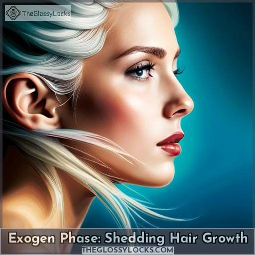 Where Does Hair Growth Begin? An In-Depth Guide