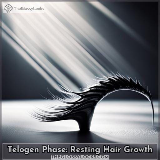 Where Does Hair Growth Begin? An In-Depth Guide