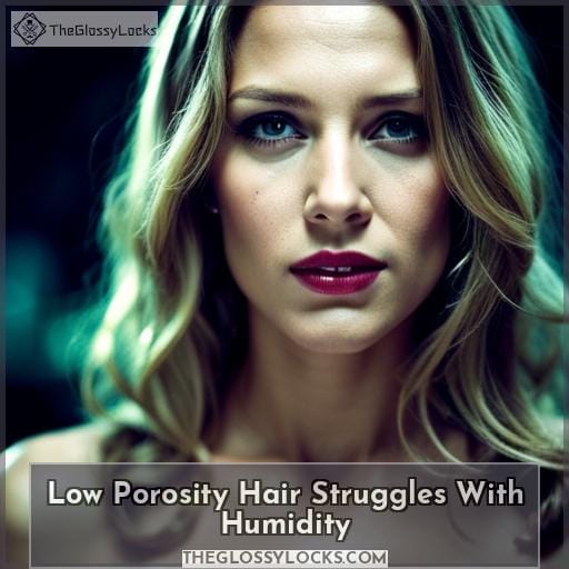 How Humidity Affects Low Porosity Hair