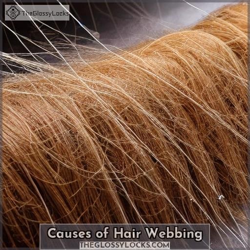 Hair Webbing: Causes, Prevention, and Effective Treatments