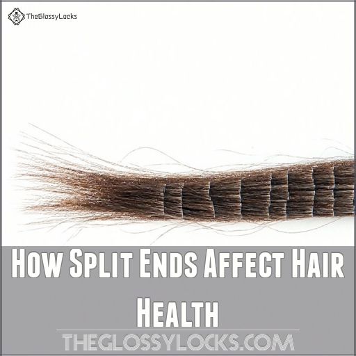 What Causes Split Ends: 10 Hidden Triggers Damaging Your Hair Health