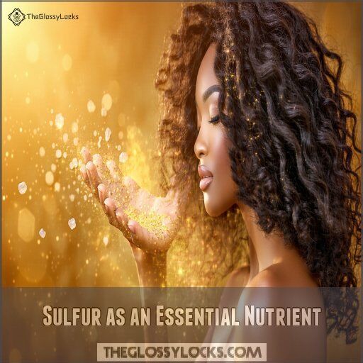 Sulfur8 Hair Growth: The Secret Weapon for Thicker Hair Revealed!