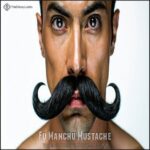 Types of Mustaches: 10 Jaw-Dropping Styles That'll Transform Your Look!