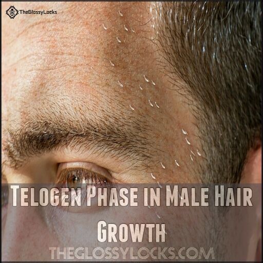 How Fast Does Hair Grow Men? Growth Speed and Tips for Healthy Hair