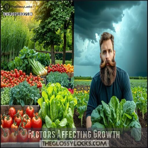 Beard Growth Stages Timeline: Grow Fast!