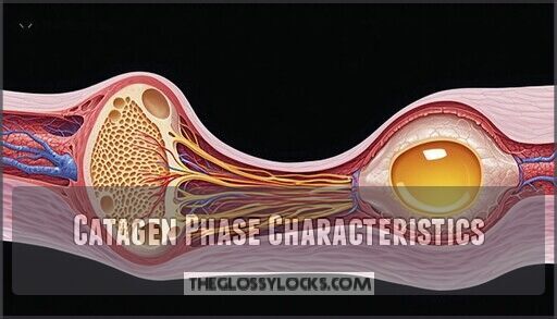 Why Does My Hair Fall Out When I Wash It? Causes and Solutions