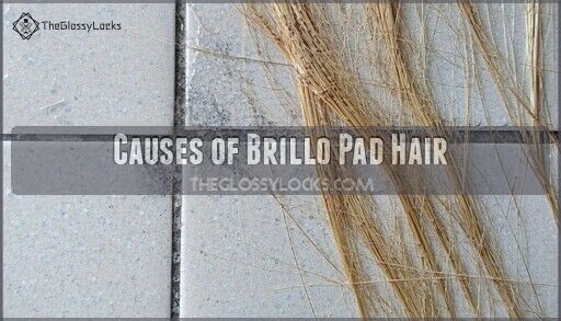 Brillo Pad Hair: 7 Life-Changing Fixes That Actually Work – 2025 Guide