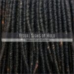 Mold in Dreads: Causes, Symptoms, and How to Treat Dread Rot Effectively