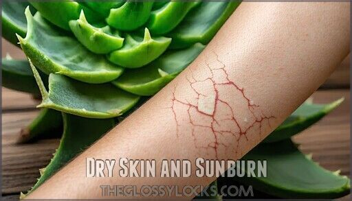 Natural Remedy for Sun Damaged Skin: 7 Proven Ways to Heal Fast