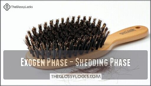 Hair Growth Calculator: Track Your Hair Length & Growth Time