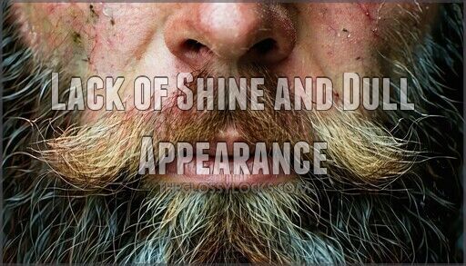 Beard Feels Dry and Brittle? 7 Proven Fixes That Actually Work