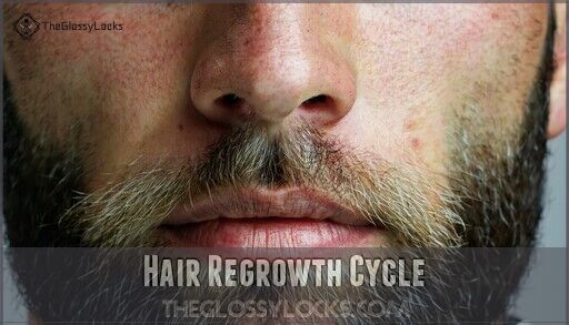 Will Shaving Make Your Beard Grow Back Thicker? Myths Vs Facts