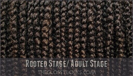 How Long Does It Take to Grow Dreads? Timeline & Tips (2025)