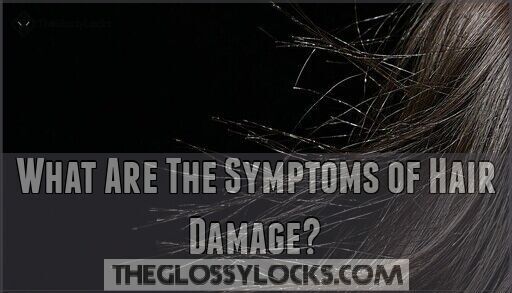 What Causes Hair Damage? Symptoms, Treatments, and Prevention Explained