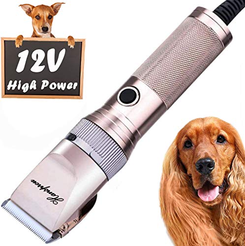 8 Best Hair Clippers for Pet Grooming: Reviews & Buying Guide