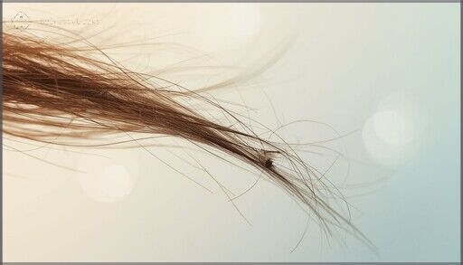 Why is My Hair Stretchy? Causes, Tests & How to Fix It
