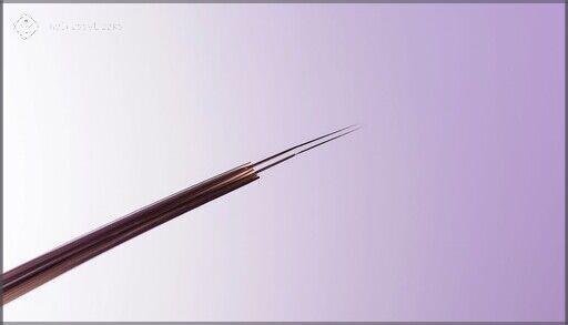 What Causes Split Ends: Types, Prevention & How to Fix Them