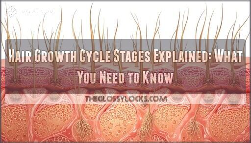 Hair Growth Cycle Stages Explained: What You Need to Know